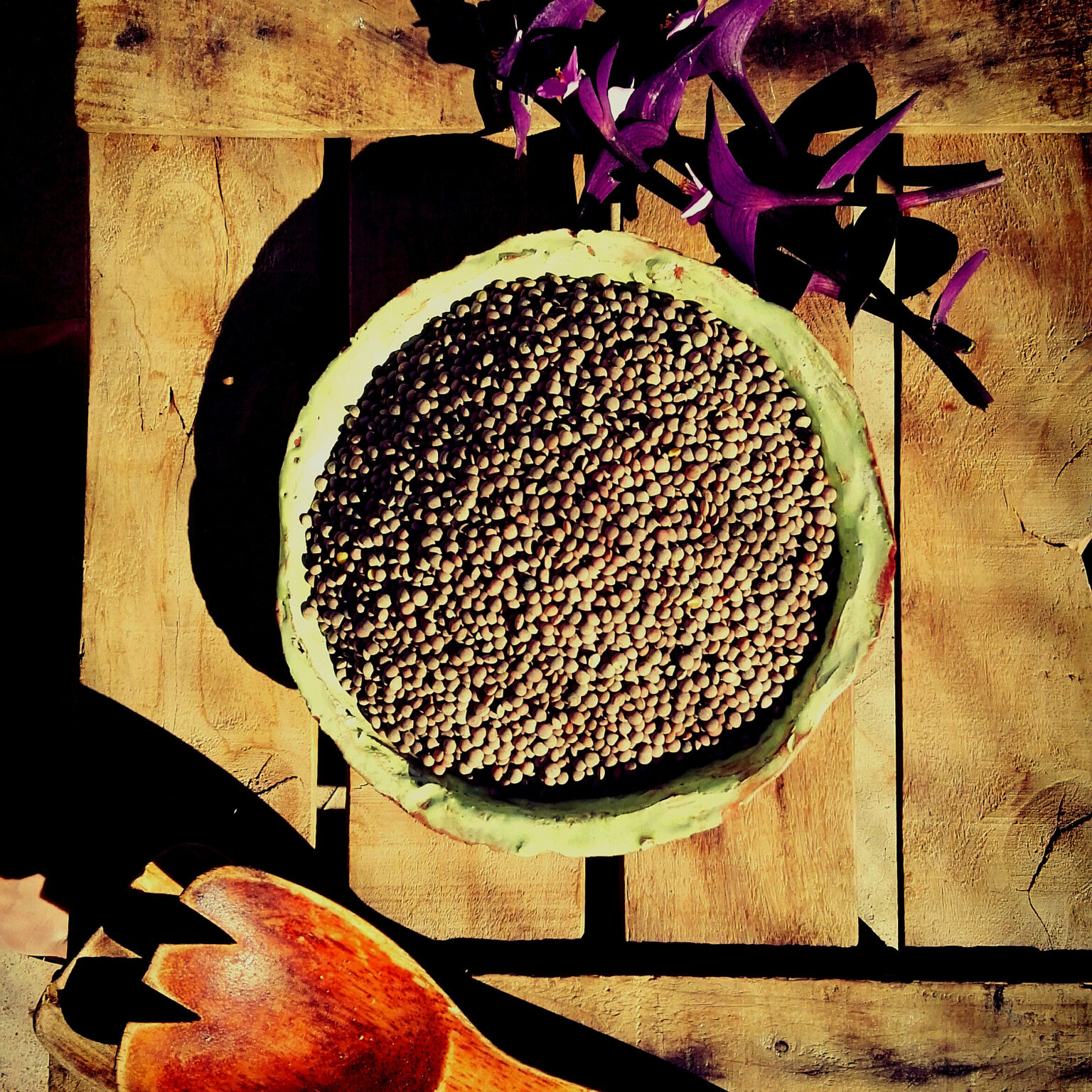 Semences potagères "Lentilles Pardina" - Plantopia Maroc | بذور عدس ...